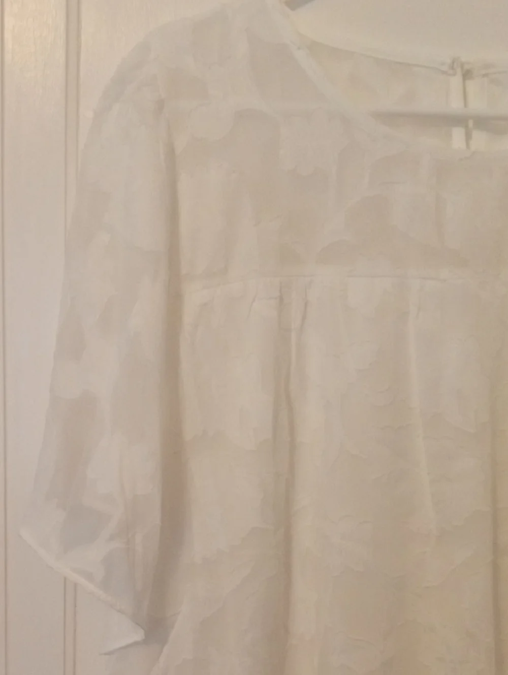 Adreamly | Tops | Nwt Women White Short Sleeve Sheer Sleeves | Poshmark